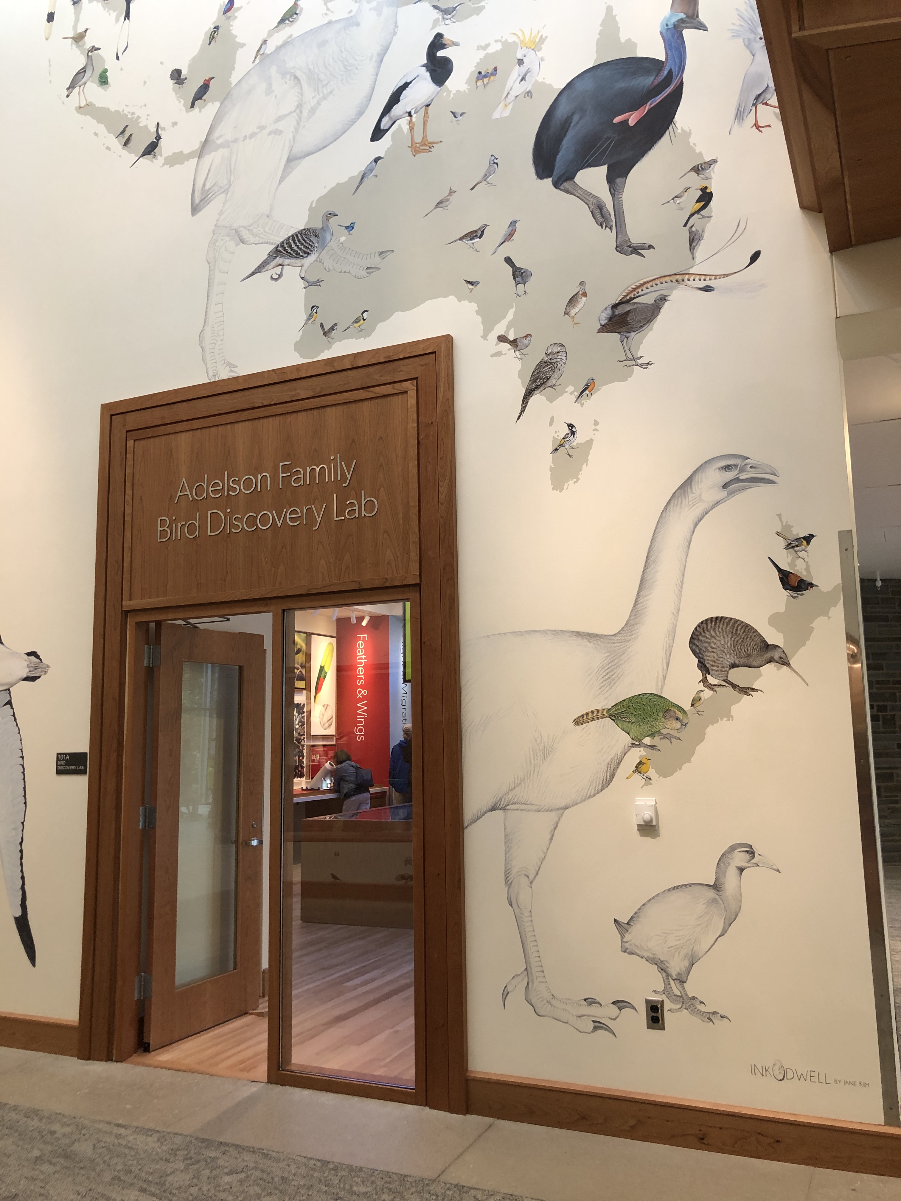 A Reimagined Visitor Center at the Cornell Lab of Ornithology 6/21/24 ...